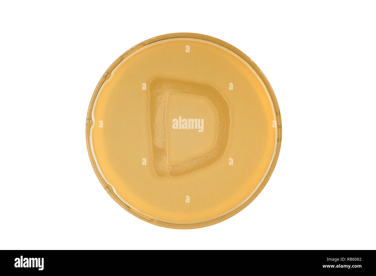 Alphabet made of bacteria escherichia coli culture on LB agar plate ...