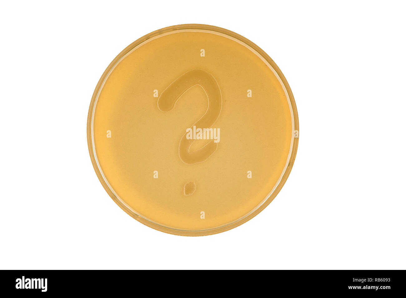 Alphabet made of bacteria escherichia coli culture on LB agar plate ...