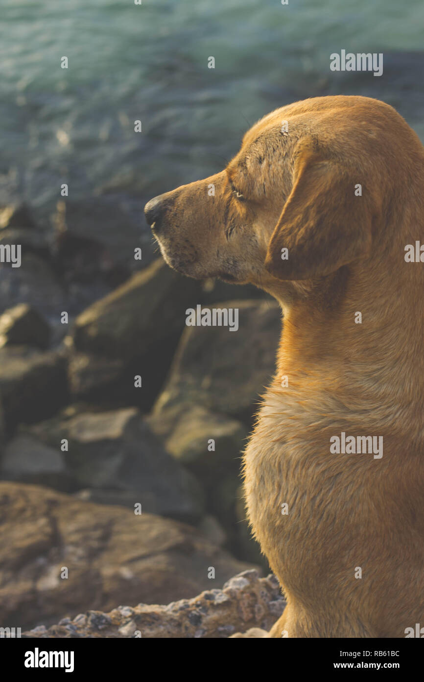 Calm down beach hi-res stock photography and images - Alamy