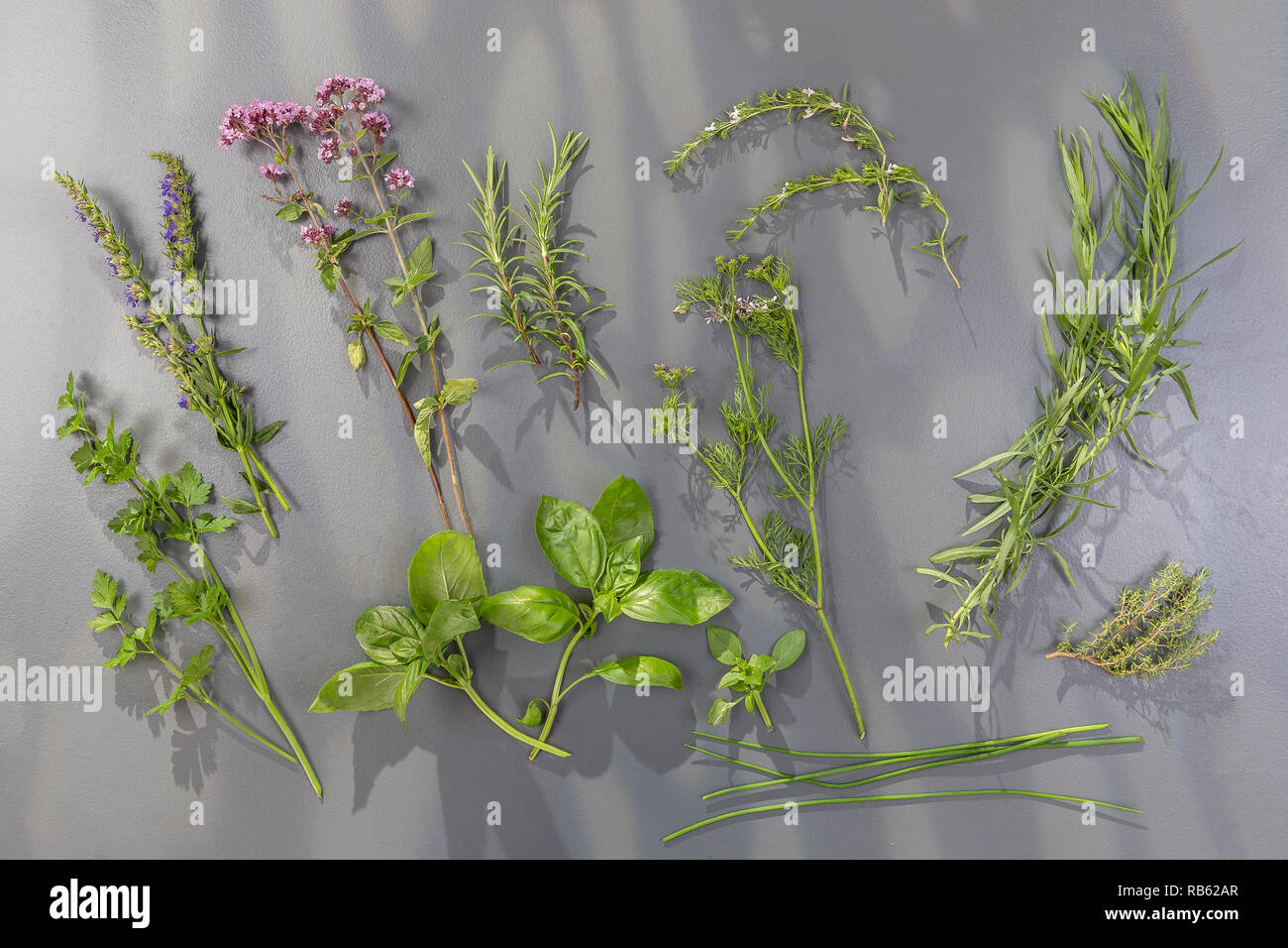 Aromatic herbs and spices from garden, healthy cooking from above Stock ...