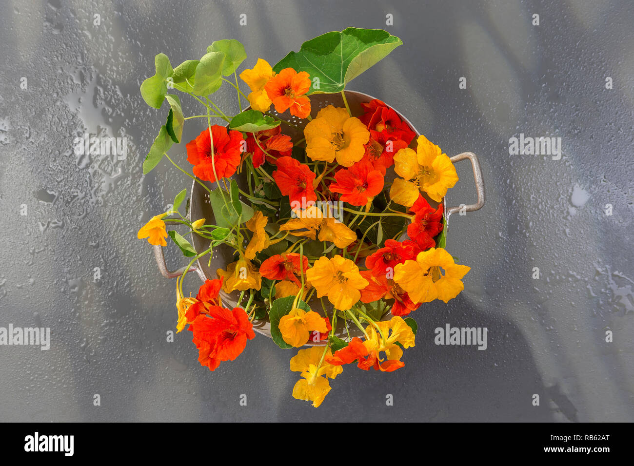 Aromatic herbs and spices from garden, healthy cooking from above Stock ...