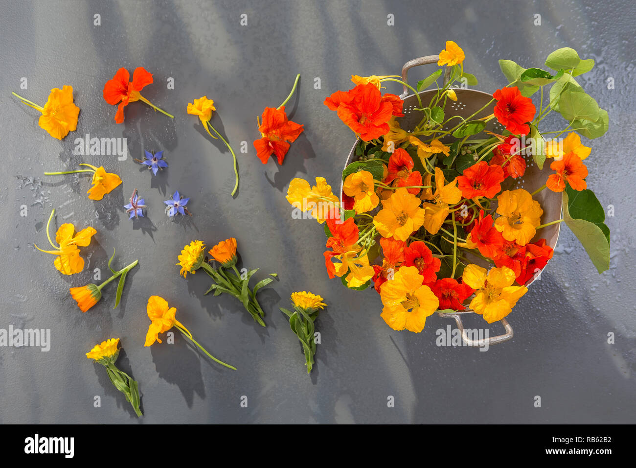 Aromatic herbs and spices from garden, healthy cooking from above Stock ...