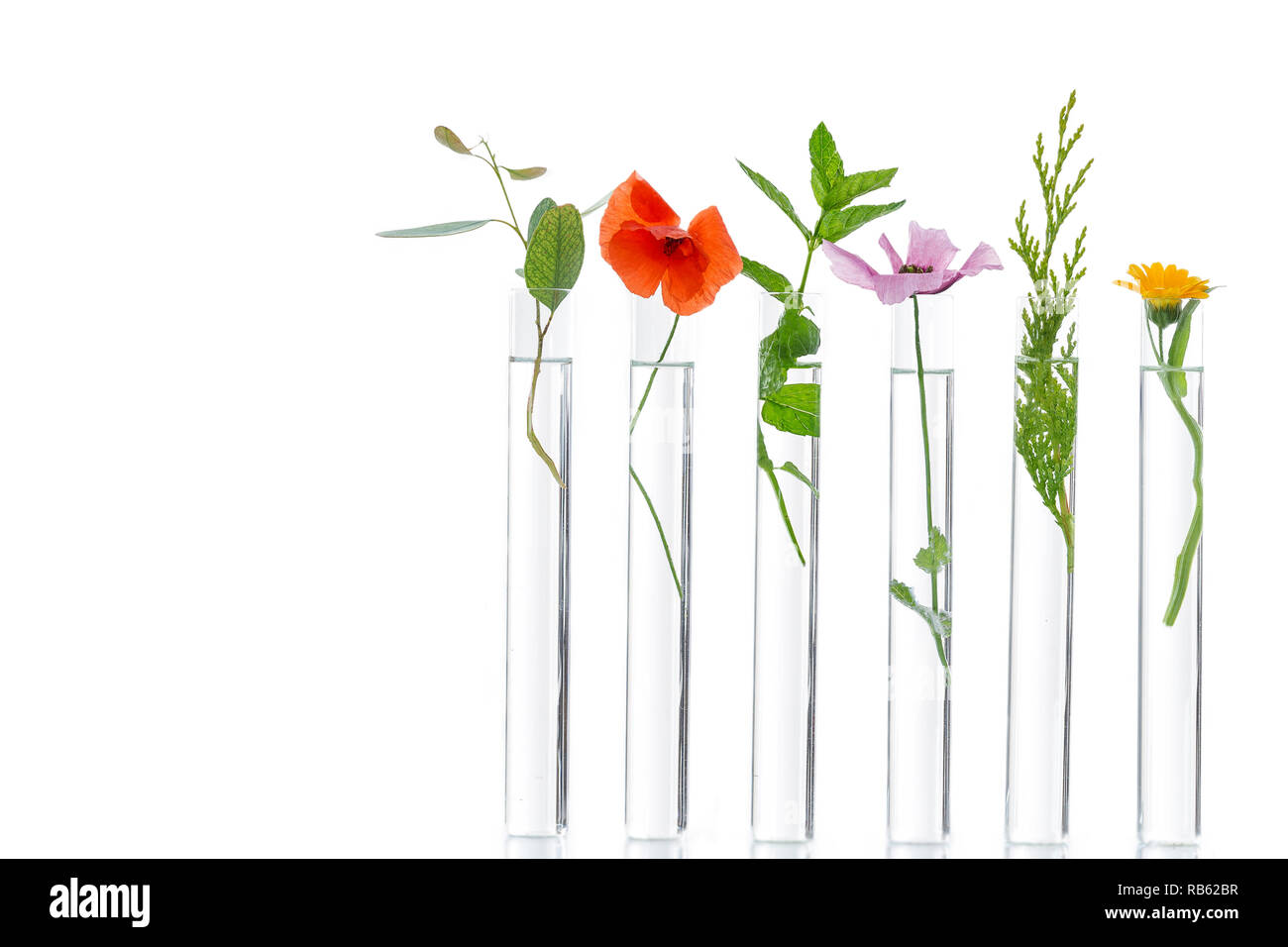 Perfume experiment hi-res stock photography and images - Alamy