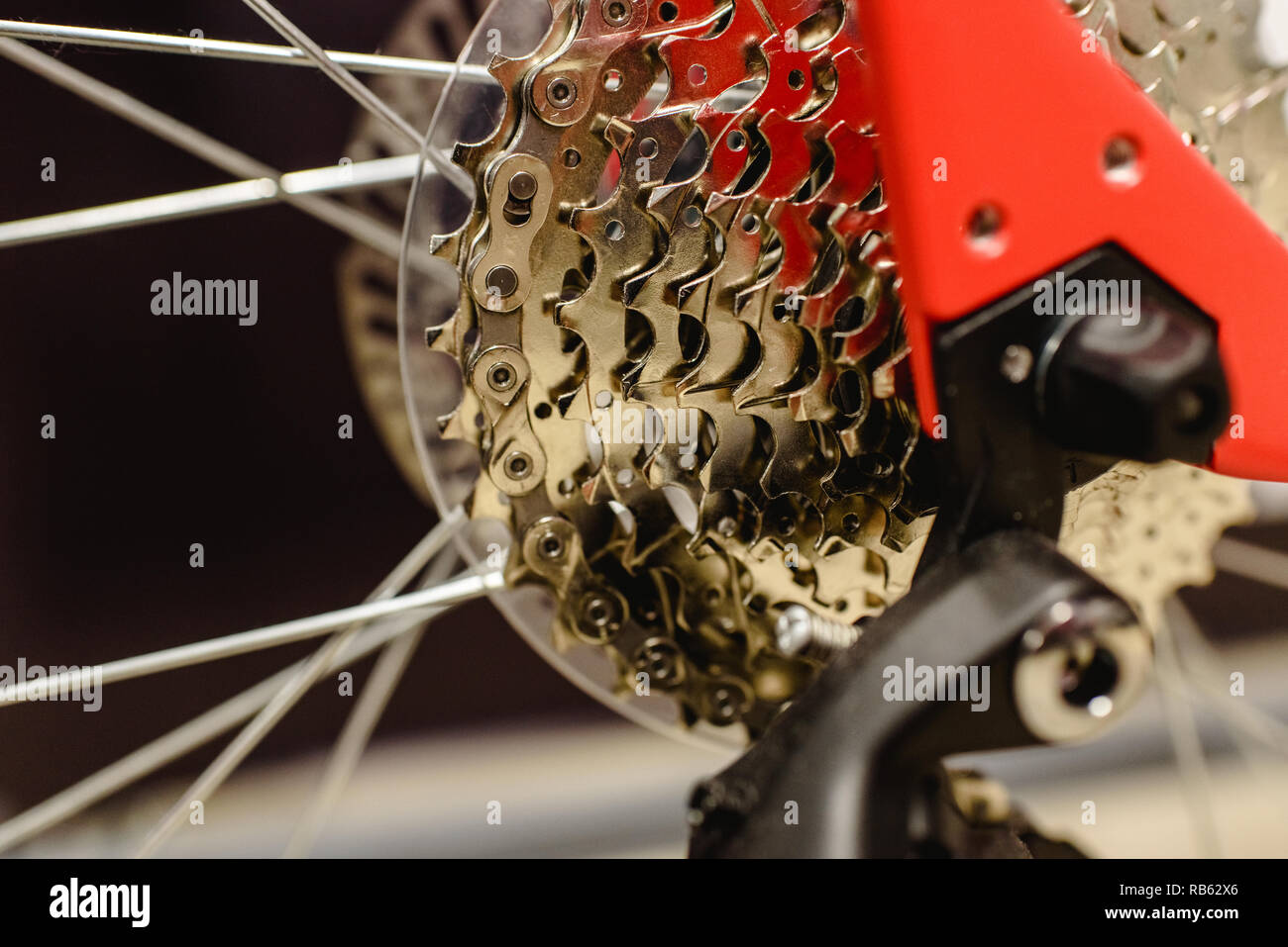 Gear crown of a clean bicycle Stock Photo - Alamy