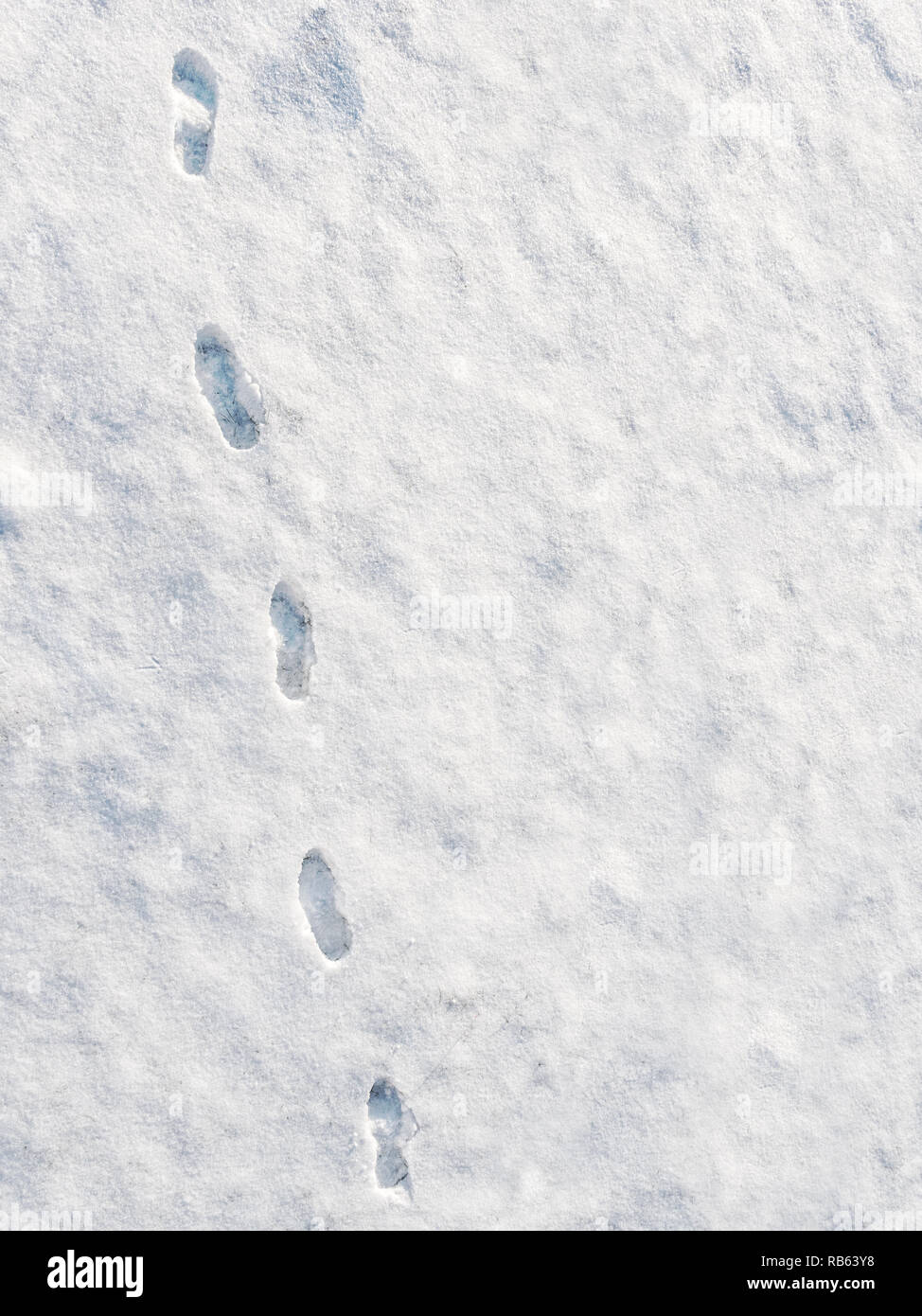 Footprints on snow surface shot from above Stock Photo - Alamy