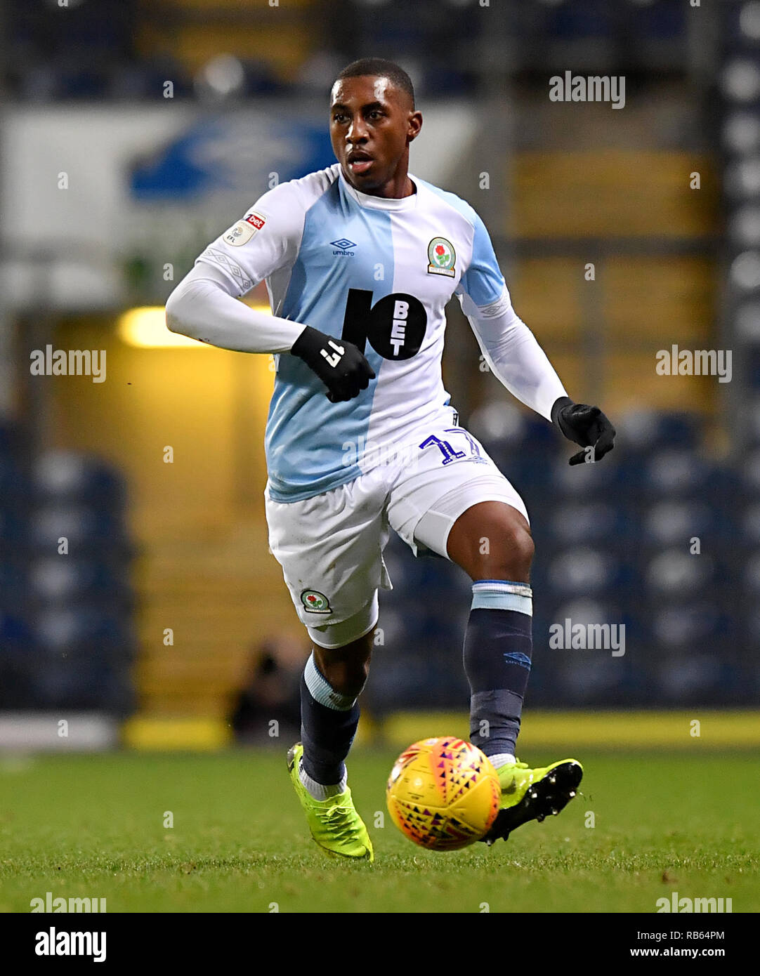 Amarii bell hi-res stock photography and images - Alamy