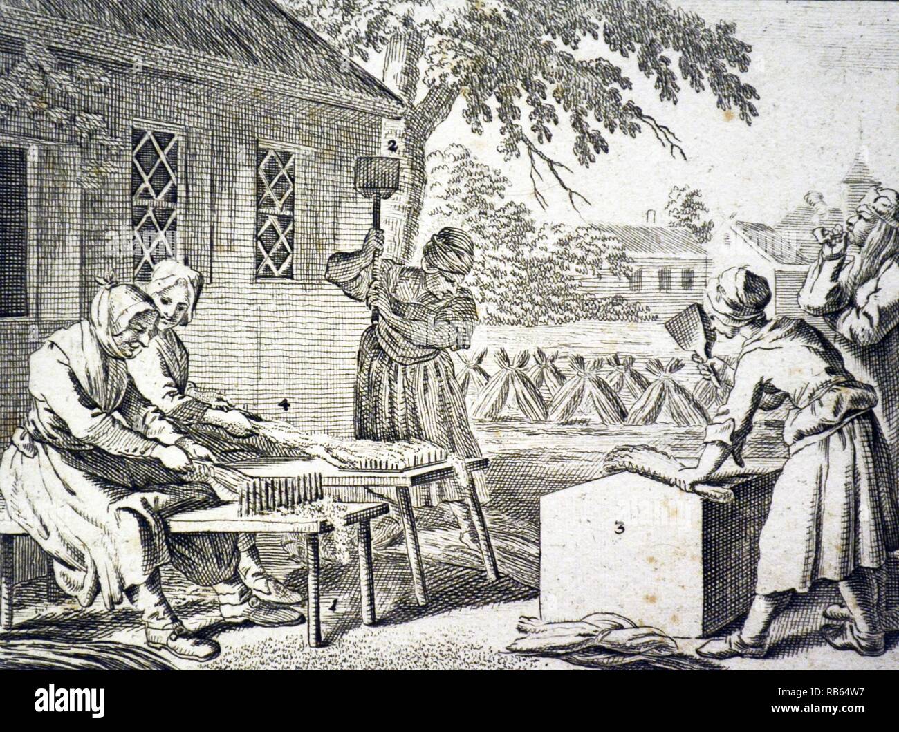 Scutching hi-res stock photography and images - Alamy