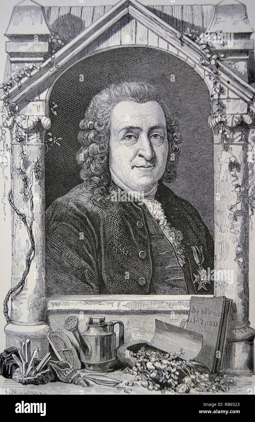 Carl Linnaeus 1707 1778 Stock Photos & Carl Linnaeus 1707 1778 Stock ...