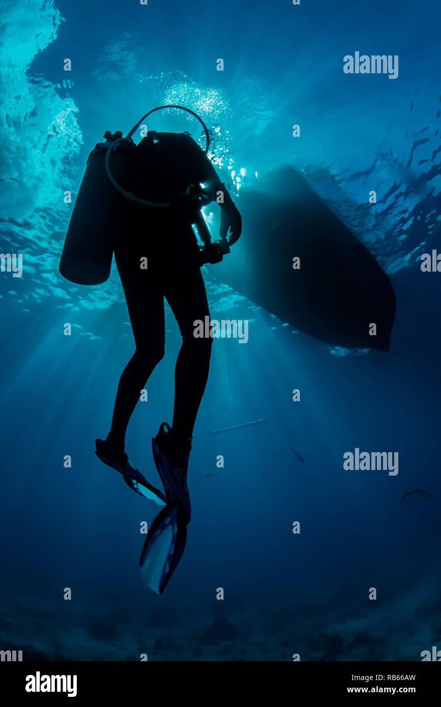 Diver on his way to the surface with sun rays piercing through the ...