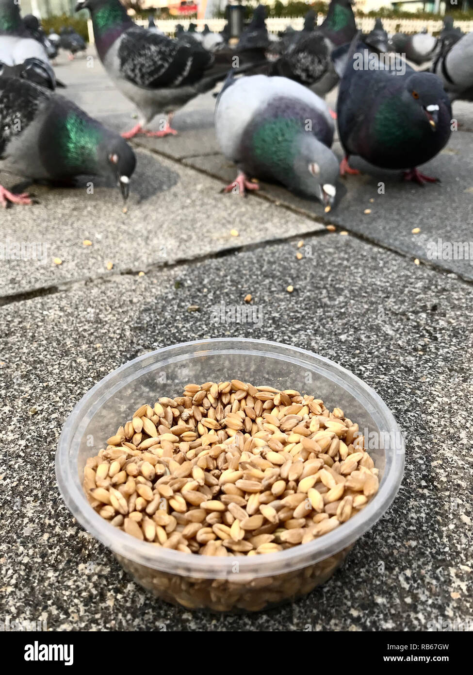 Istanbul streets hi-res stock photography and images - Alamy