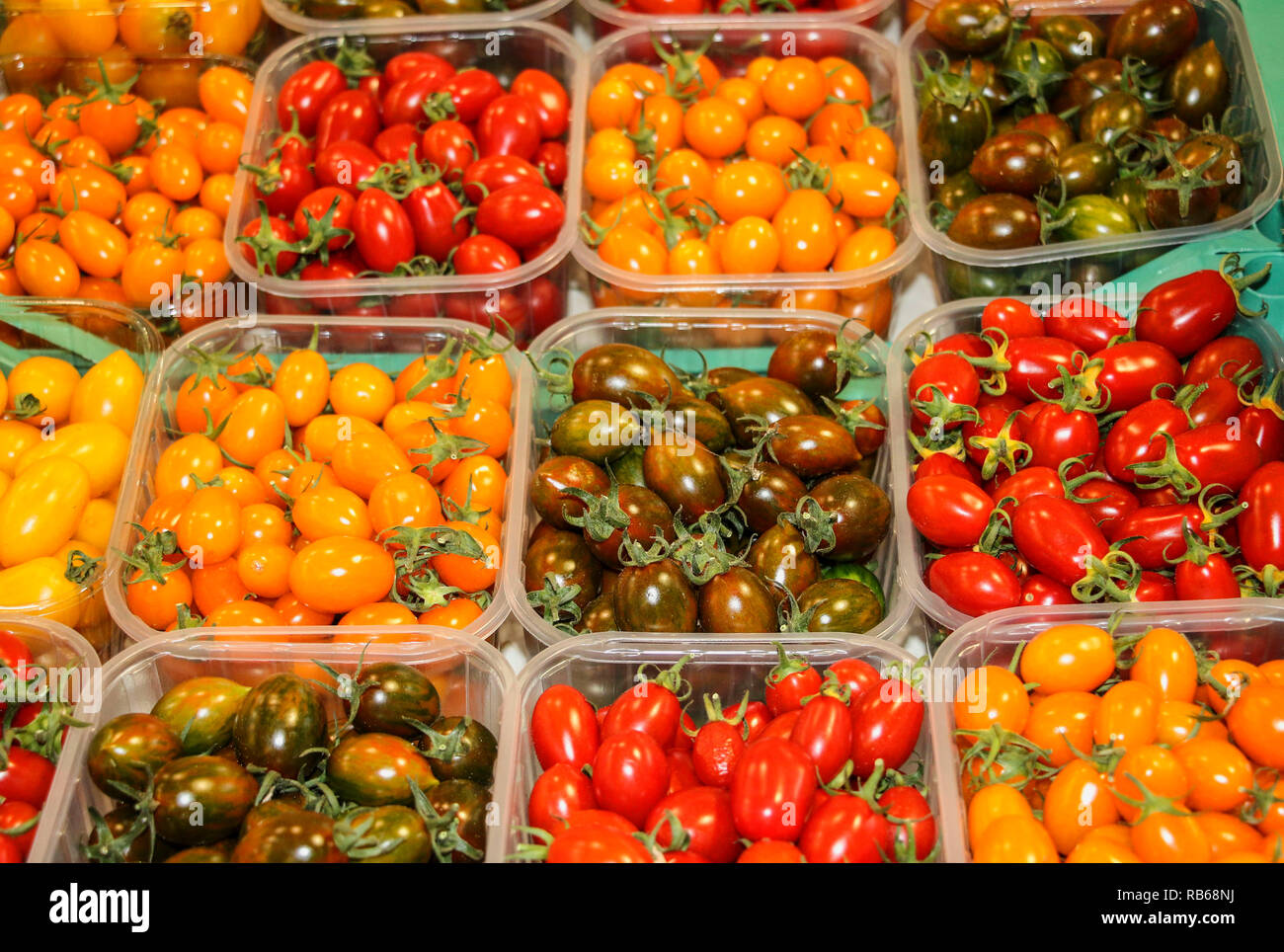 Tomato harvest italy hi-res stock photography and images - Alamy