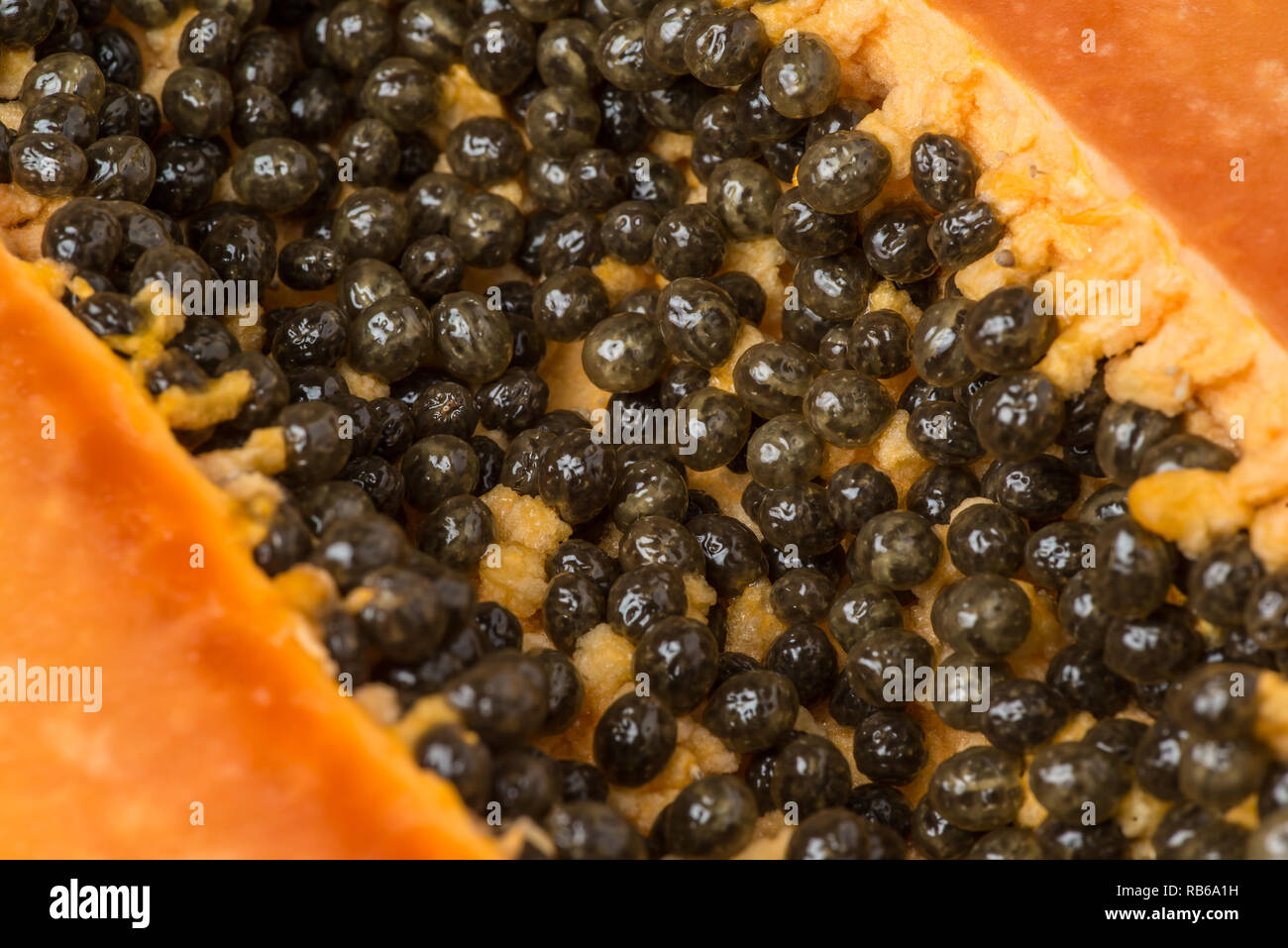 Papaya texture hi-res stock photography and images - Alamy