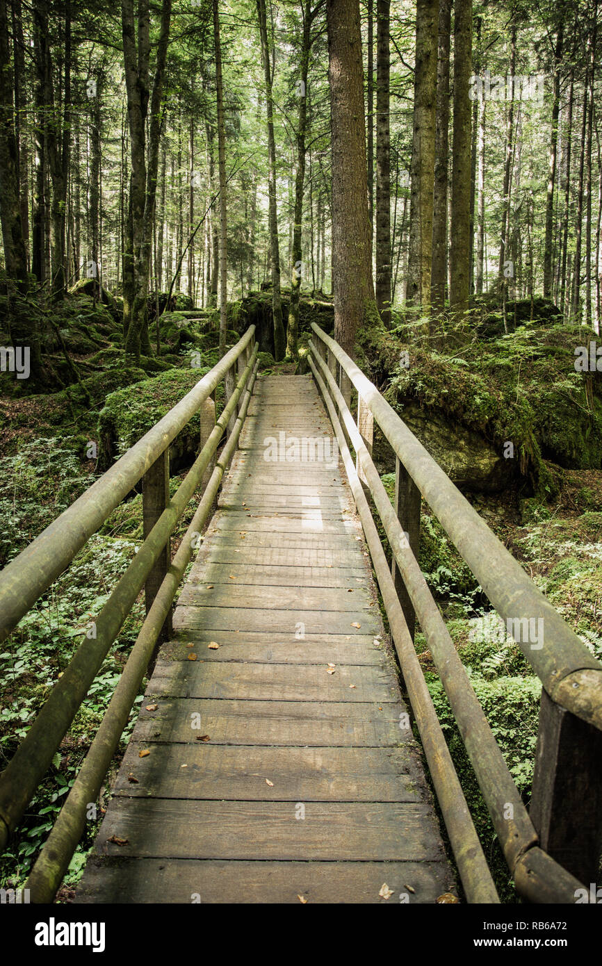 Moss covered forest bridge hi-res stock photography and images - Alamy