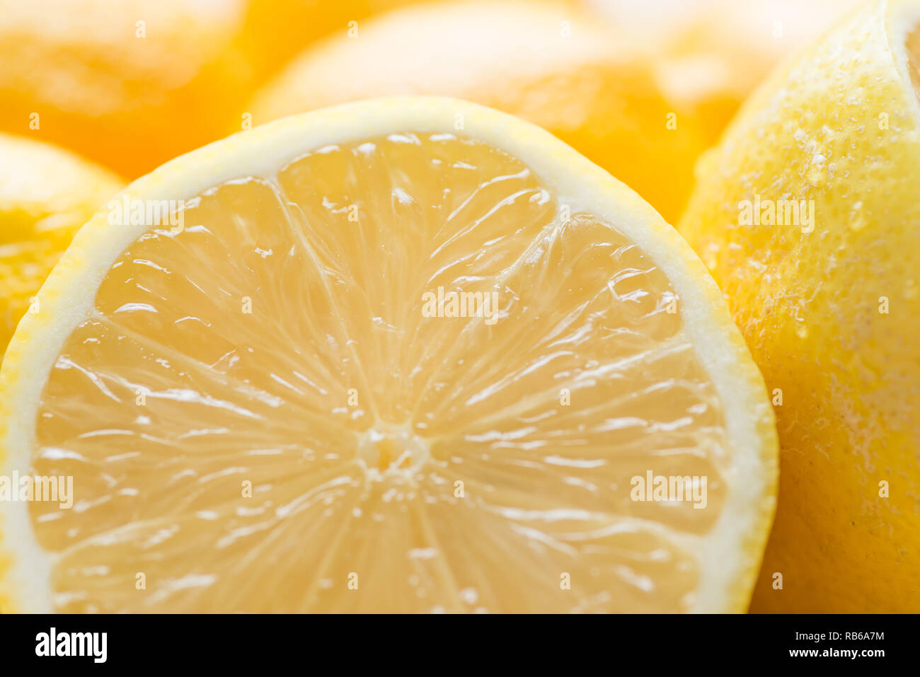 Lemon is a species of evergreen tree hi-res stock photography and ...