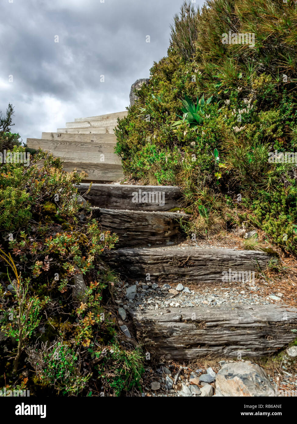 Sealy Tarns Track stars, Aoraki, Mount Cook, New Zealand, NZ Stock ...