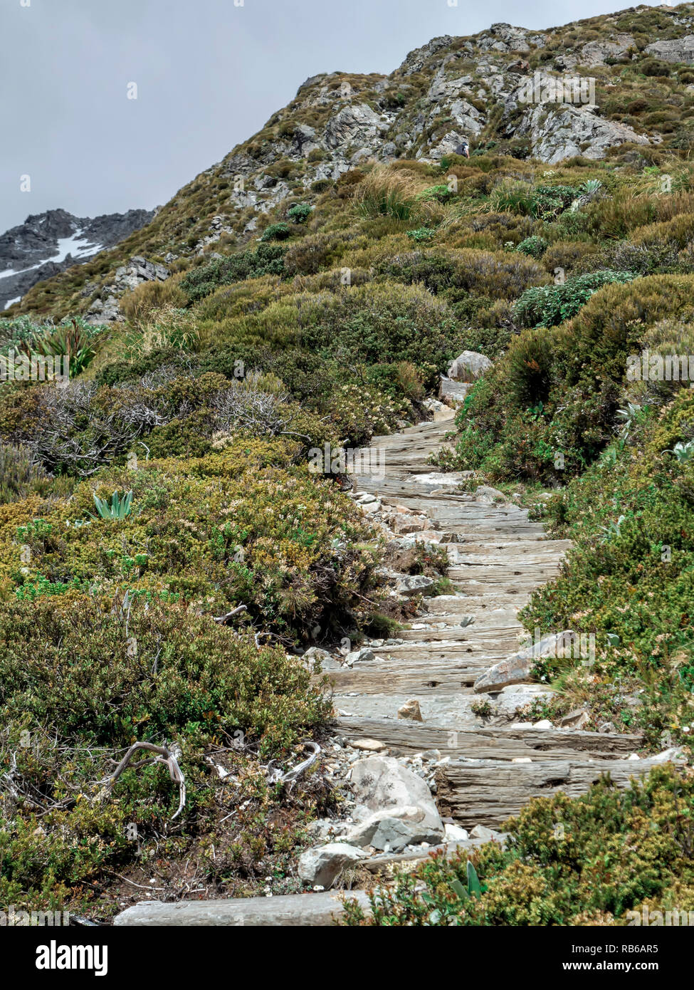 Sealy Tarns Track stars, Aoraki, Mount Cook, New Zealand, NZ Stock ...