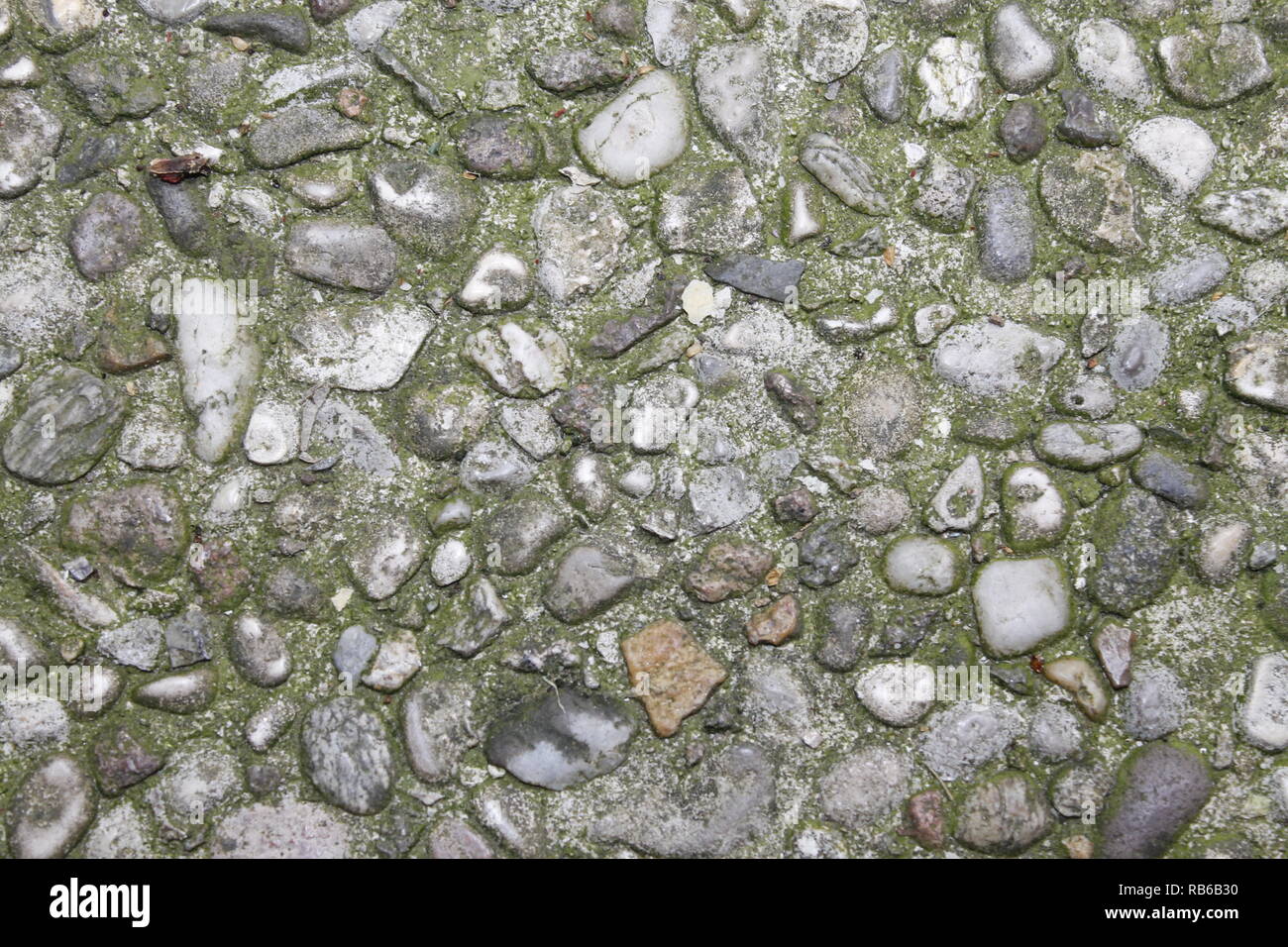 Stone Ground Texture Seamless