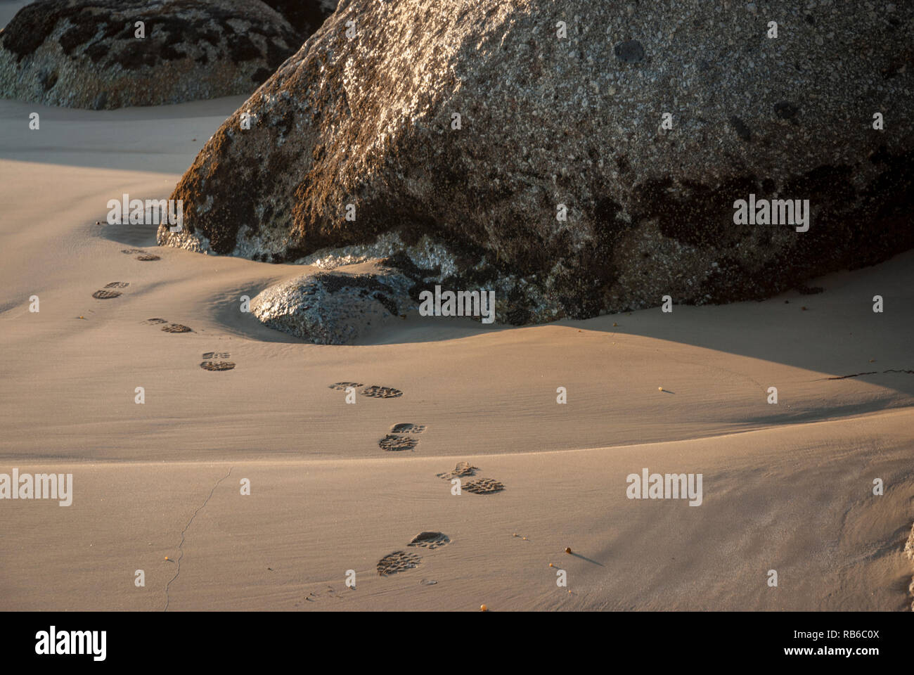 Footprints in the sand at sunset, Victoria Australia Stock Photo - Alamy