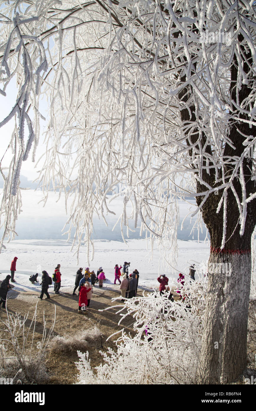 Jili, Jili, China. 5th Jan, 2019. Jilin, CHINA-Stunning rime scenery ...