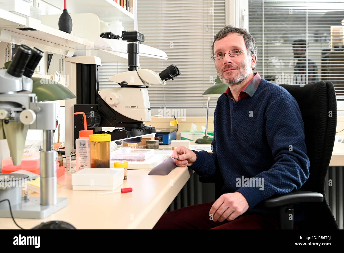 Zoologische staatssammlung munchen hi-res stock photography and images ...