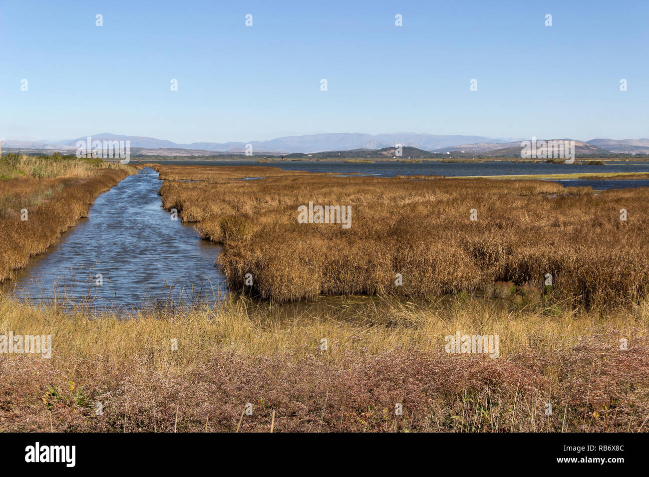 Montenegro - A view at a portion of the Nature Park Solana Ulcinj ...