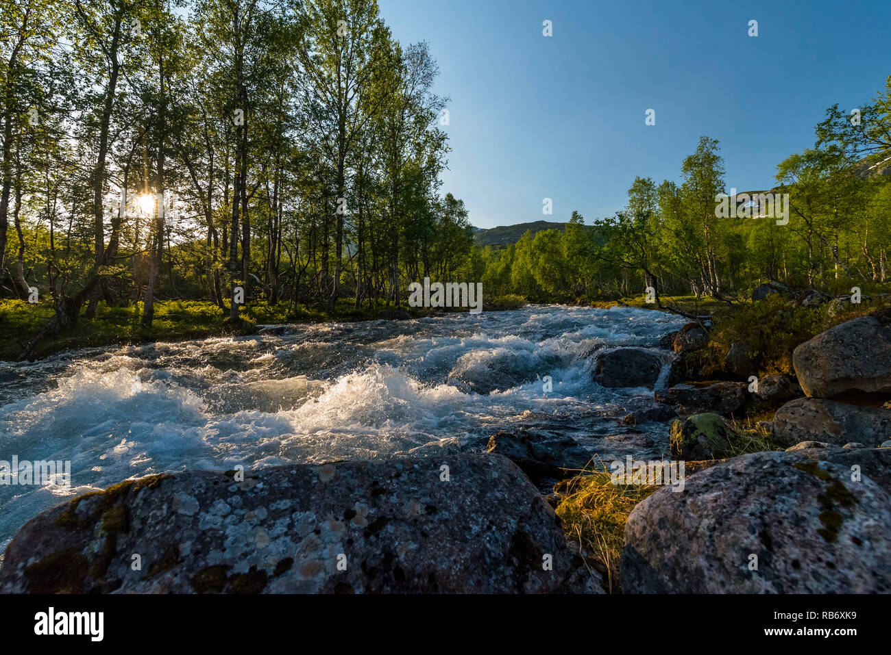 Valley Of The Birch High Resolution Stock Photography and Images - Alamy