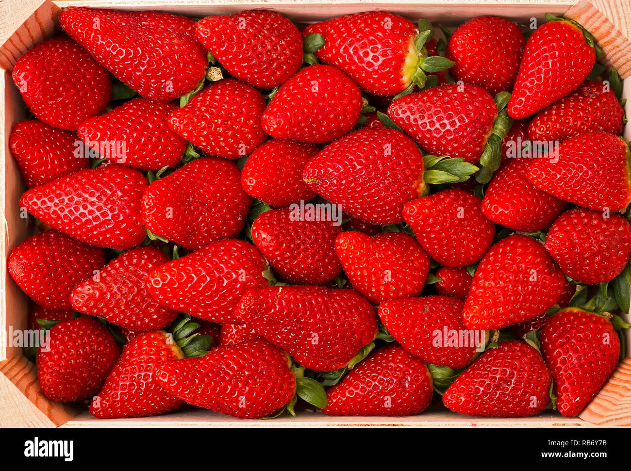 Large strawberries hi-res stock photography and images - Alamy