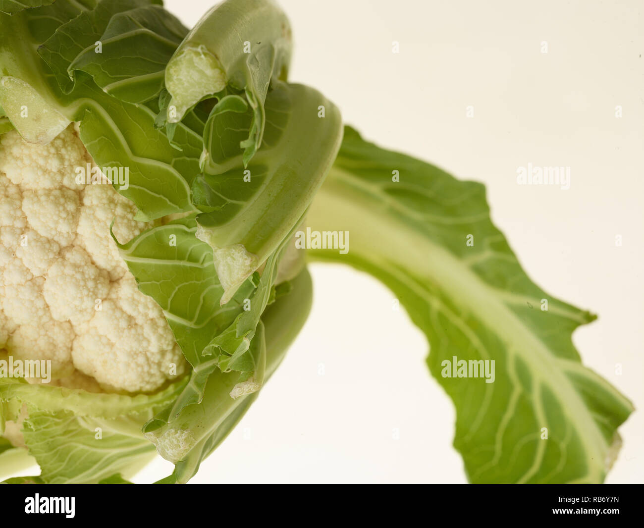 Cauliflower vegetable food photograph Stock Photo - Alamy