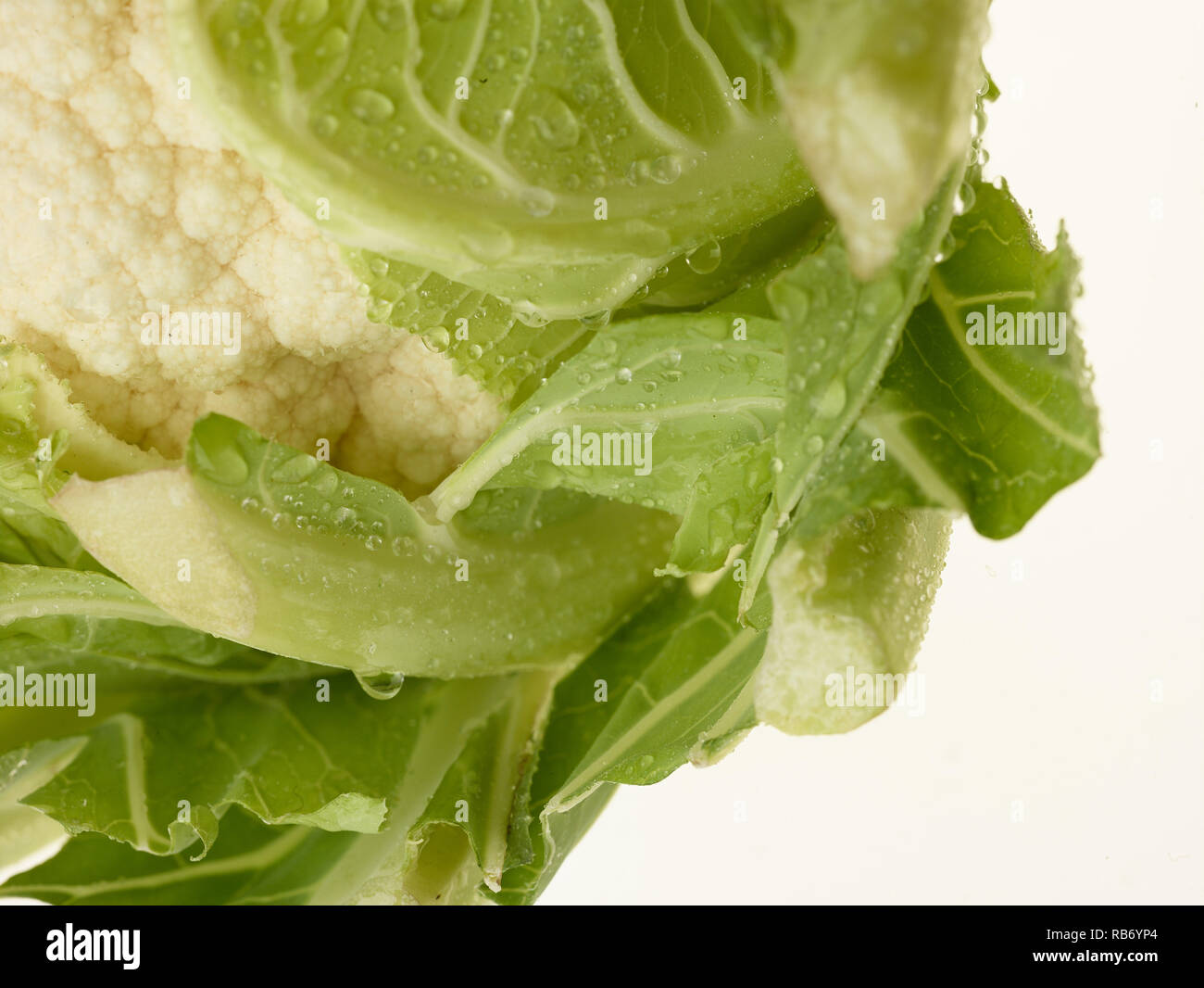 Cauliflower vegetable food photograph Stock Photo - Alamy