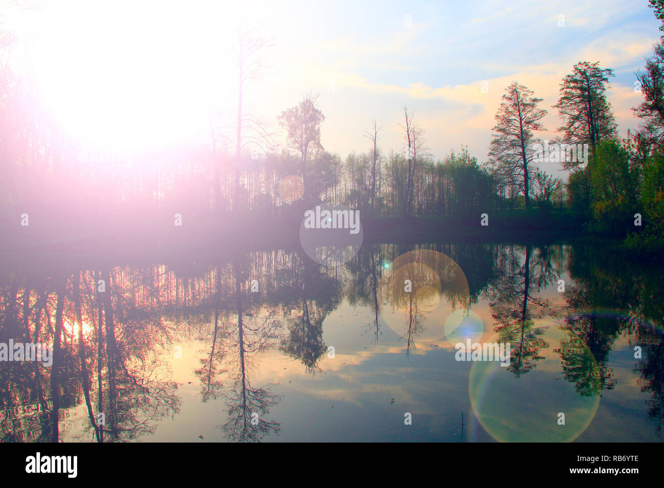 Beautiful dawn over the forest river with sunlight reflections. Water ...