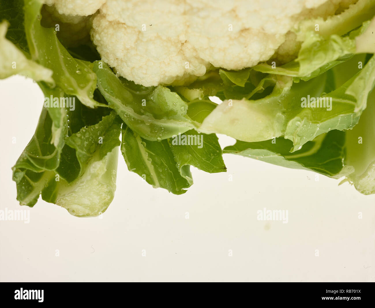 Cauliflower vegetable still-life photograph Stock Photo - Alamy
