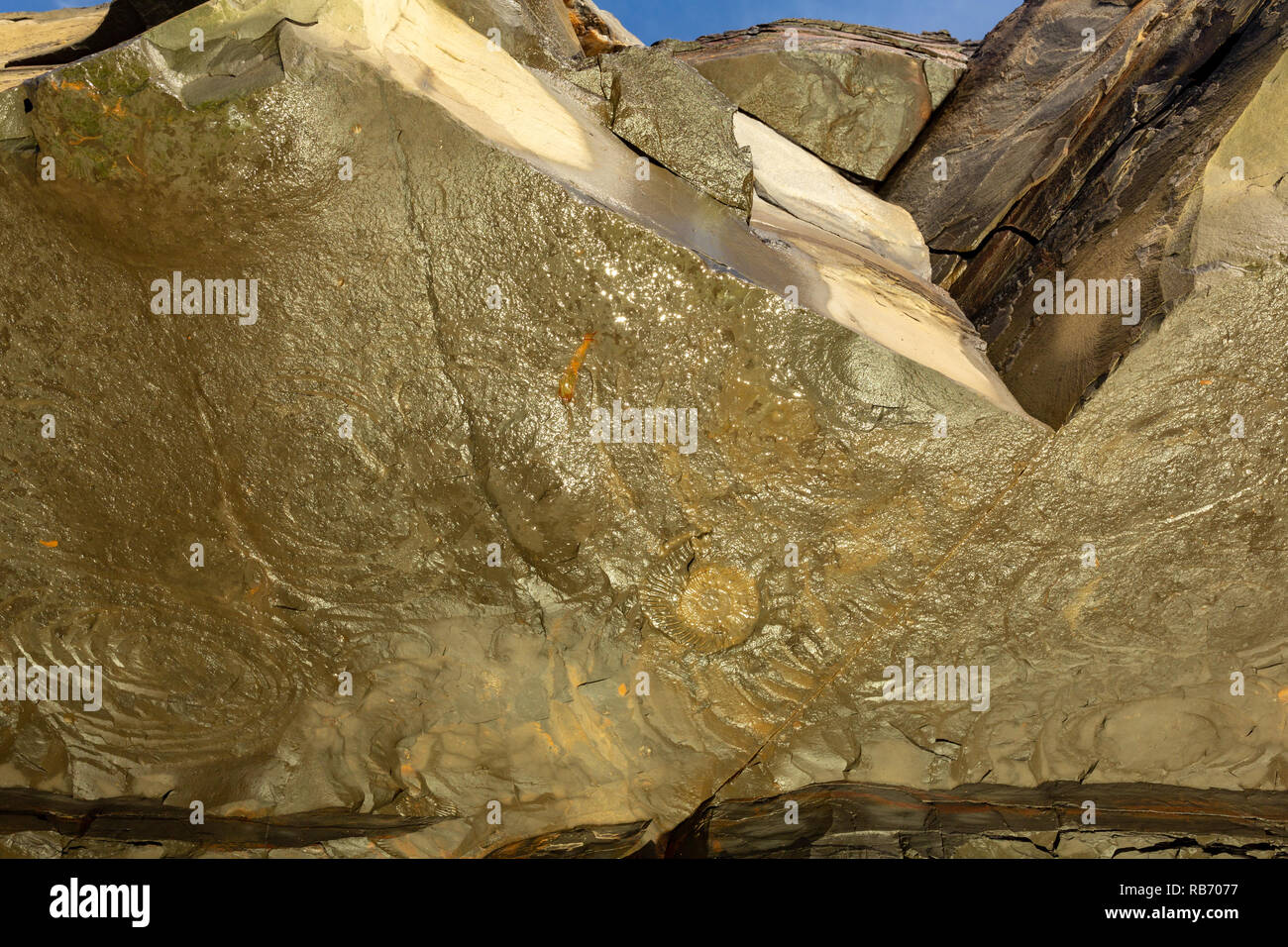 Landscape photograph taken from underneath cliff face overhang focused ...