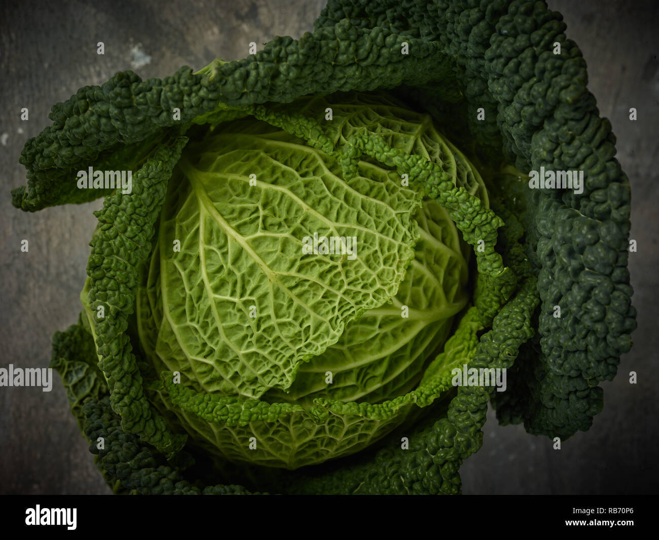 Savoy cabbage close-up vegetable food photograph showing structure and ...