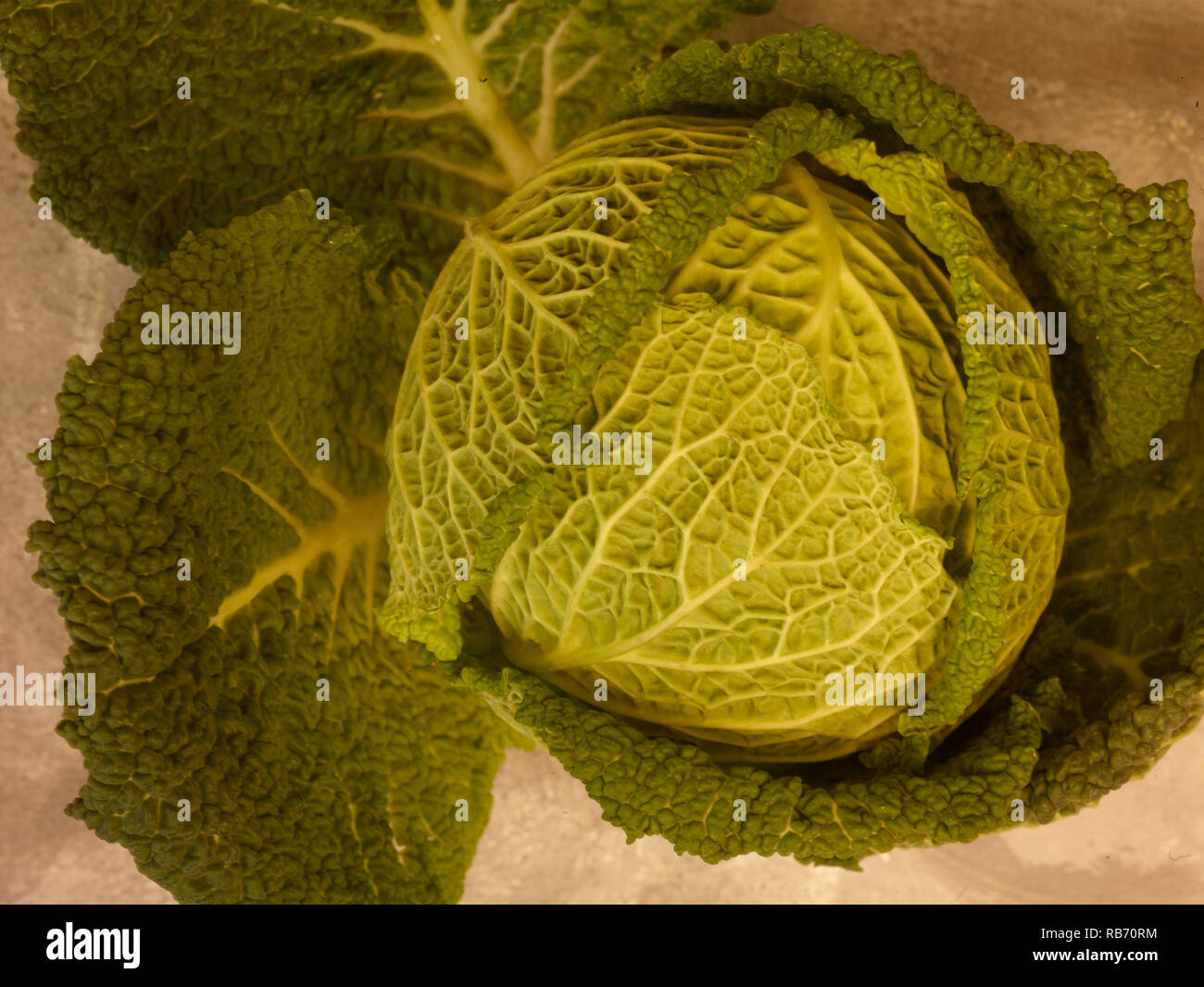 Savoy cabbage close-up vegetable food photograph showing structure and ...