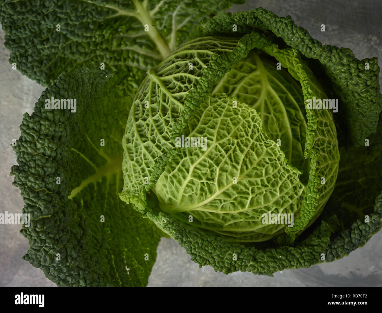 Savoy cabbage close-up vegetable food photograph showing structure and ...
