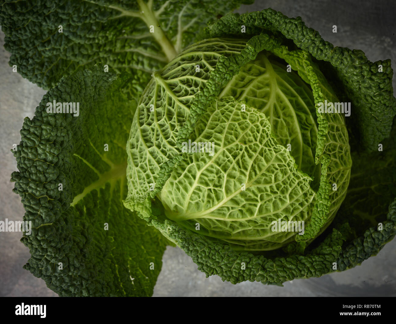 Savoy cabbage close-up vegetable food photograph showing structure and ...