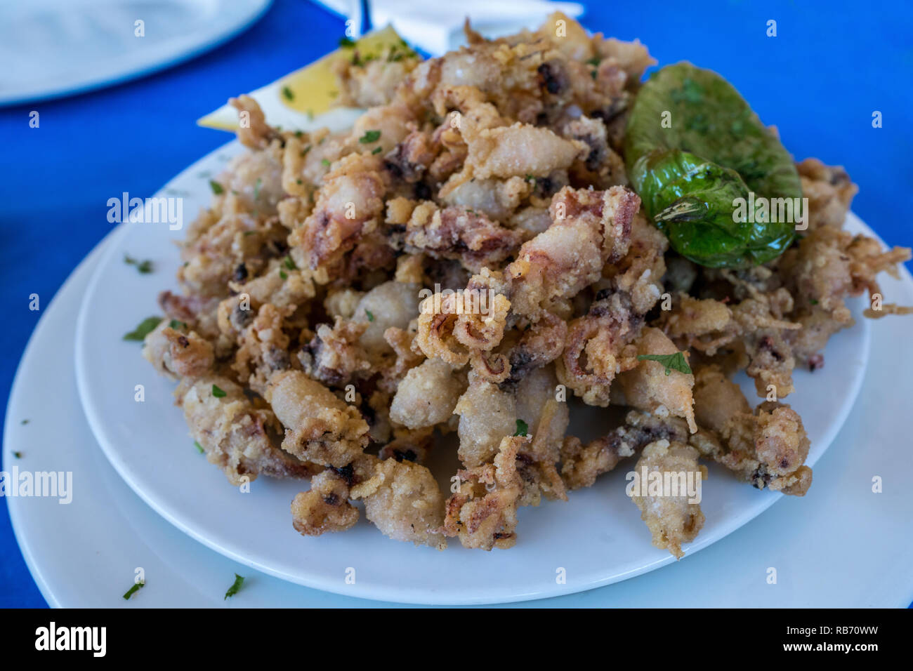 Baby octopus hi-res stock photography and images - Alamy