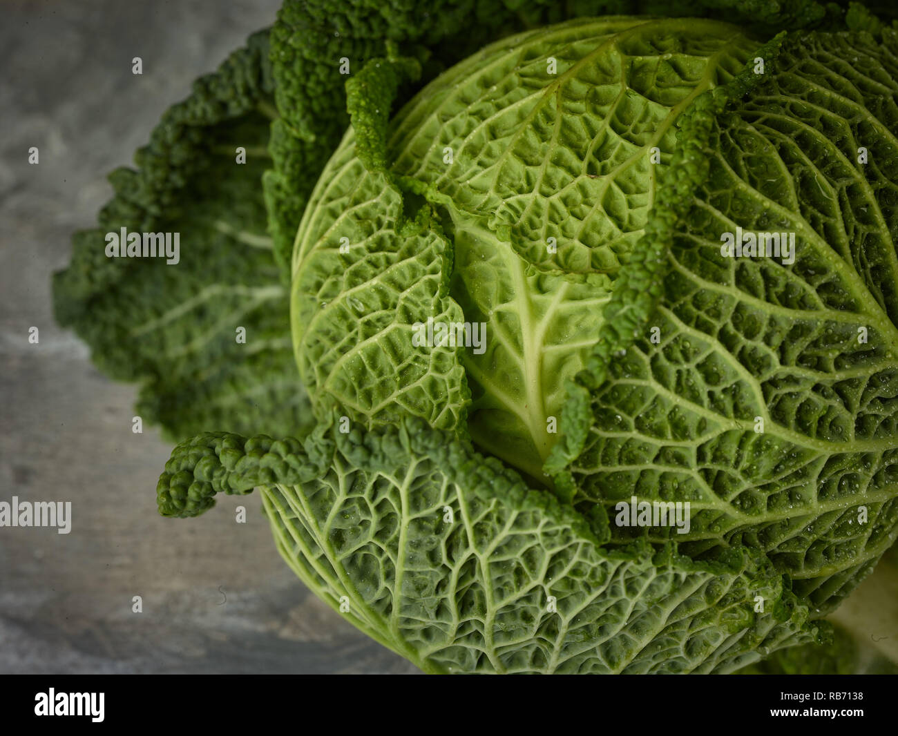 Savoy cabbage close-up vegetable food photograph showing structure and ...