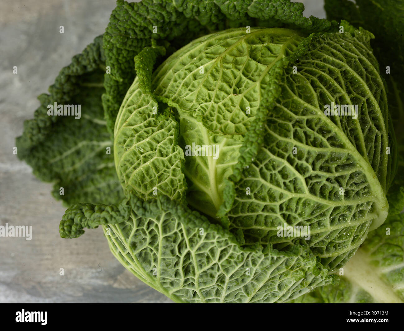 Savoy cabbage close-up vegetable food photograph showing structure and ...