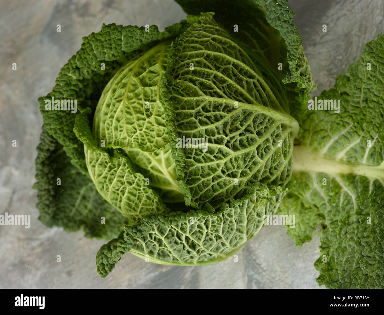 Savoy cabbage close-up vegetable food photograph showing structure and ...