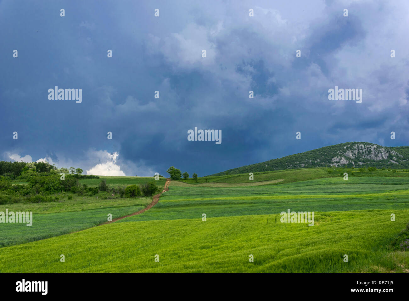 Weather windstorm moment hi-res stock photography and images - Alamy