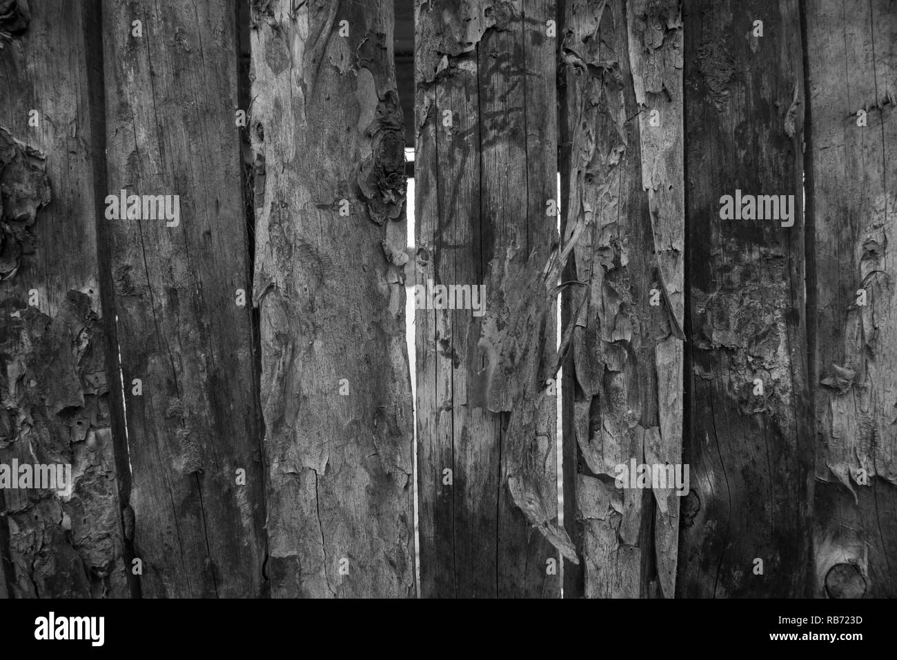 Vertical abstract white grain background Black and White Stock Photos ...