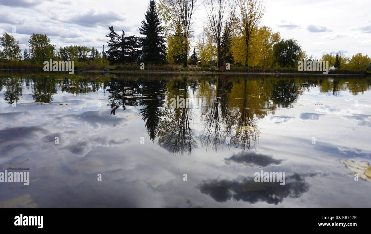 Reflecting ponds hi-res stock photography and images - Alamy