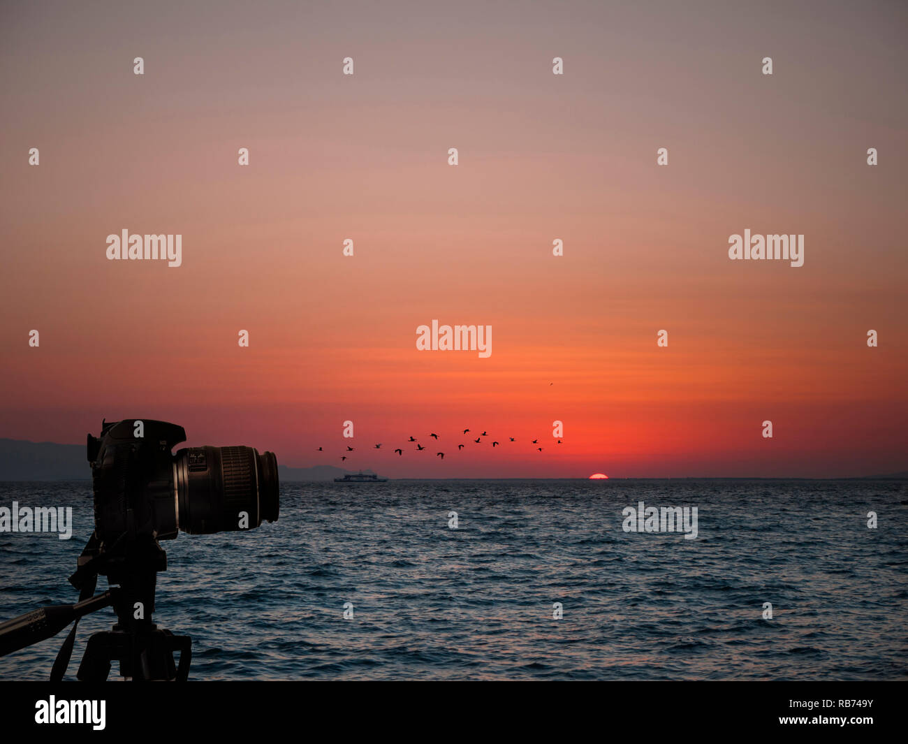 Dslr food photography hi-res stock photography and images - Alamy
