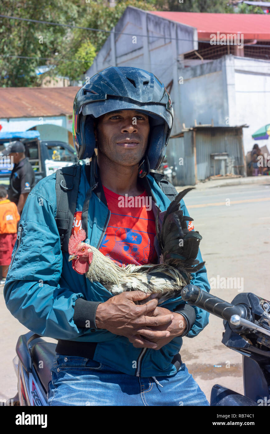 Motorcycle chicken hi-res stock photography and images - Alamy