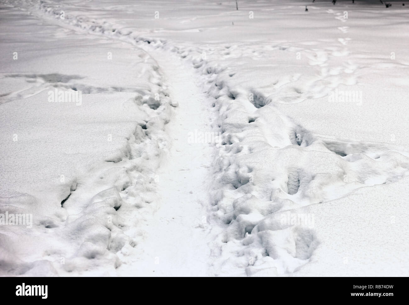 Deep snow path hi-res stock photography and images - Alamy