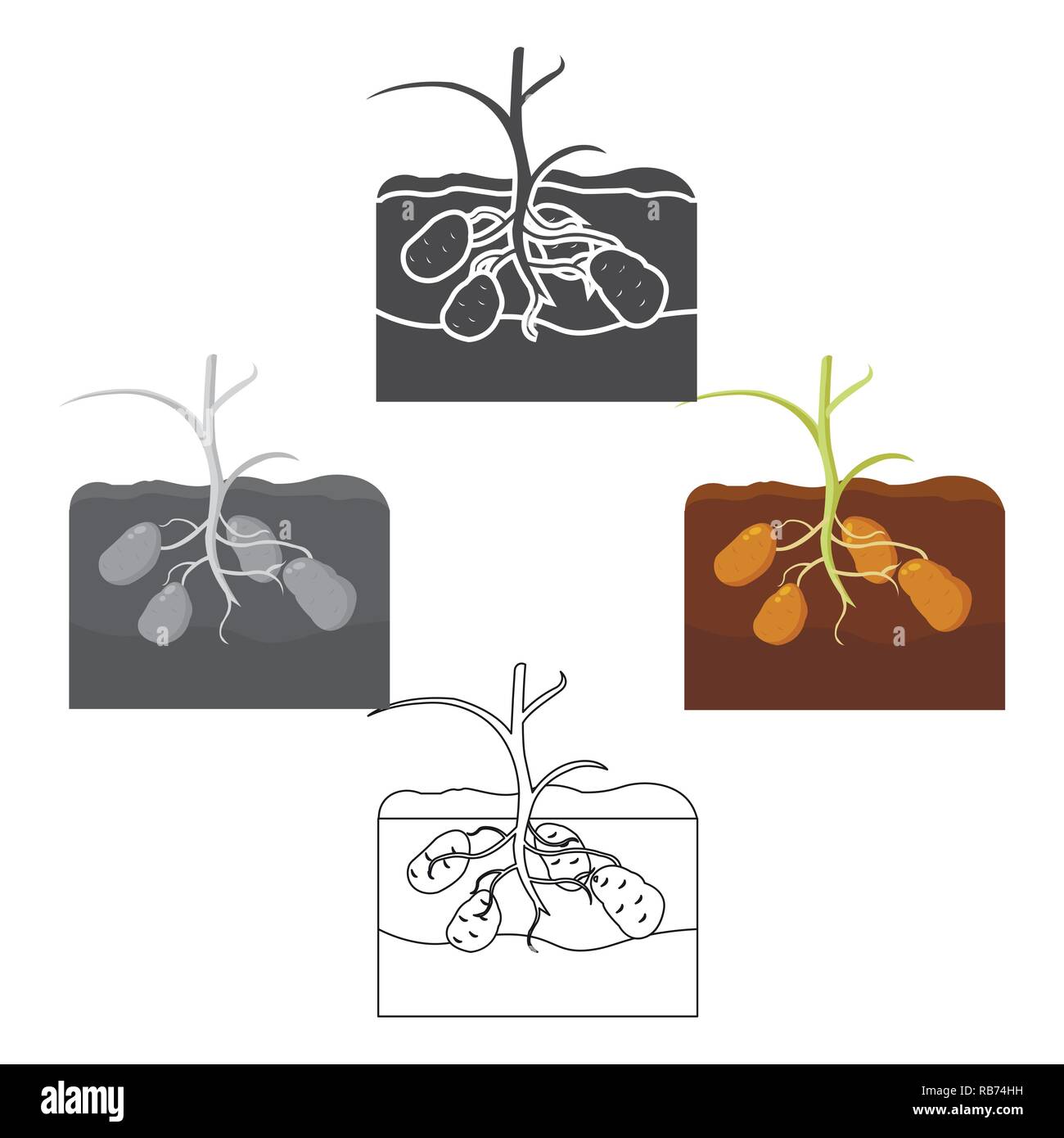 Potato icon cartoon. Single plant icon from the big farm, garden ...