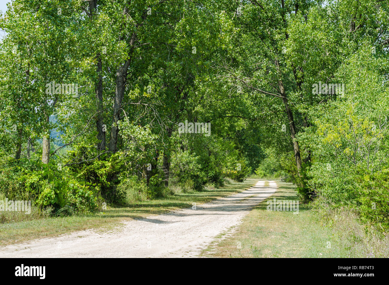 Landscape in rural Wisconsin Stock Photo - Alamy