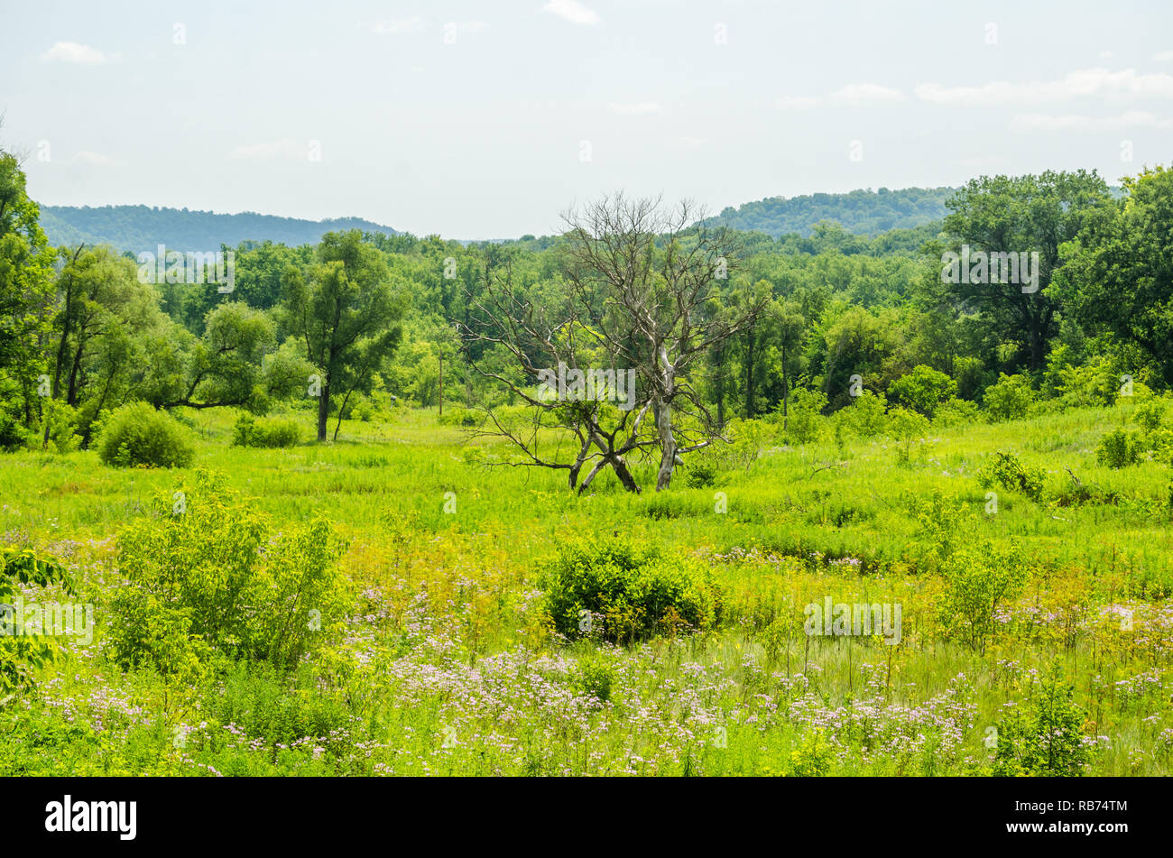 Landscape in rural Wisconsin Stock Photo - Alamy