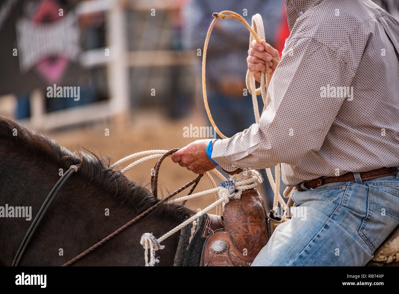 Cowboy and horse rope hi-res stock photography and images - Alamy